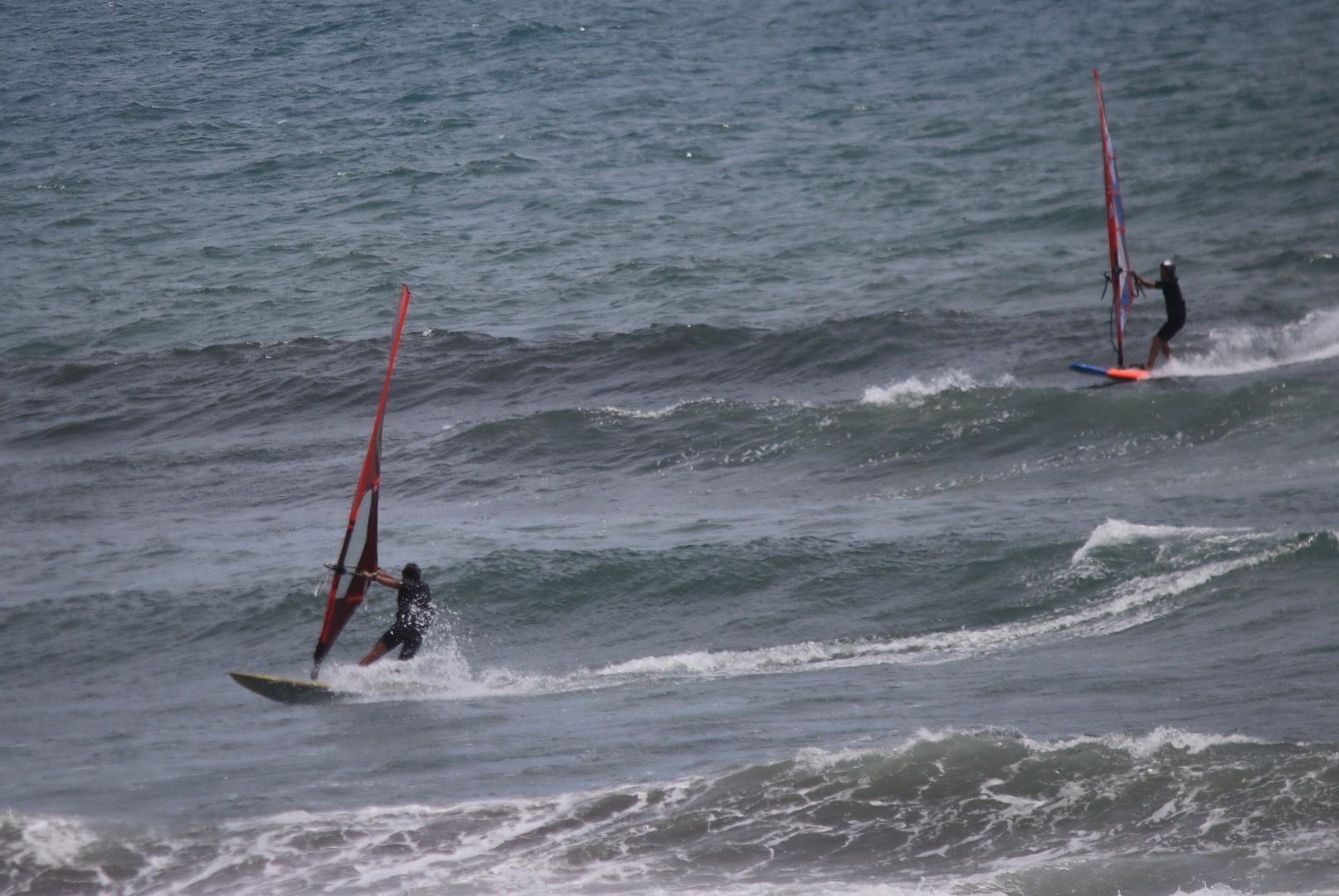 7/8 遠州パラダイス: 海大好き