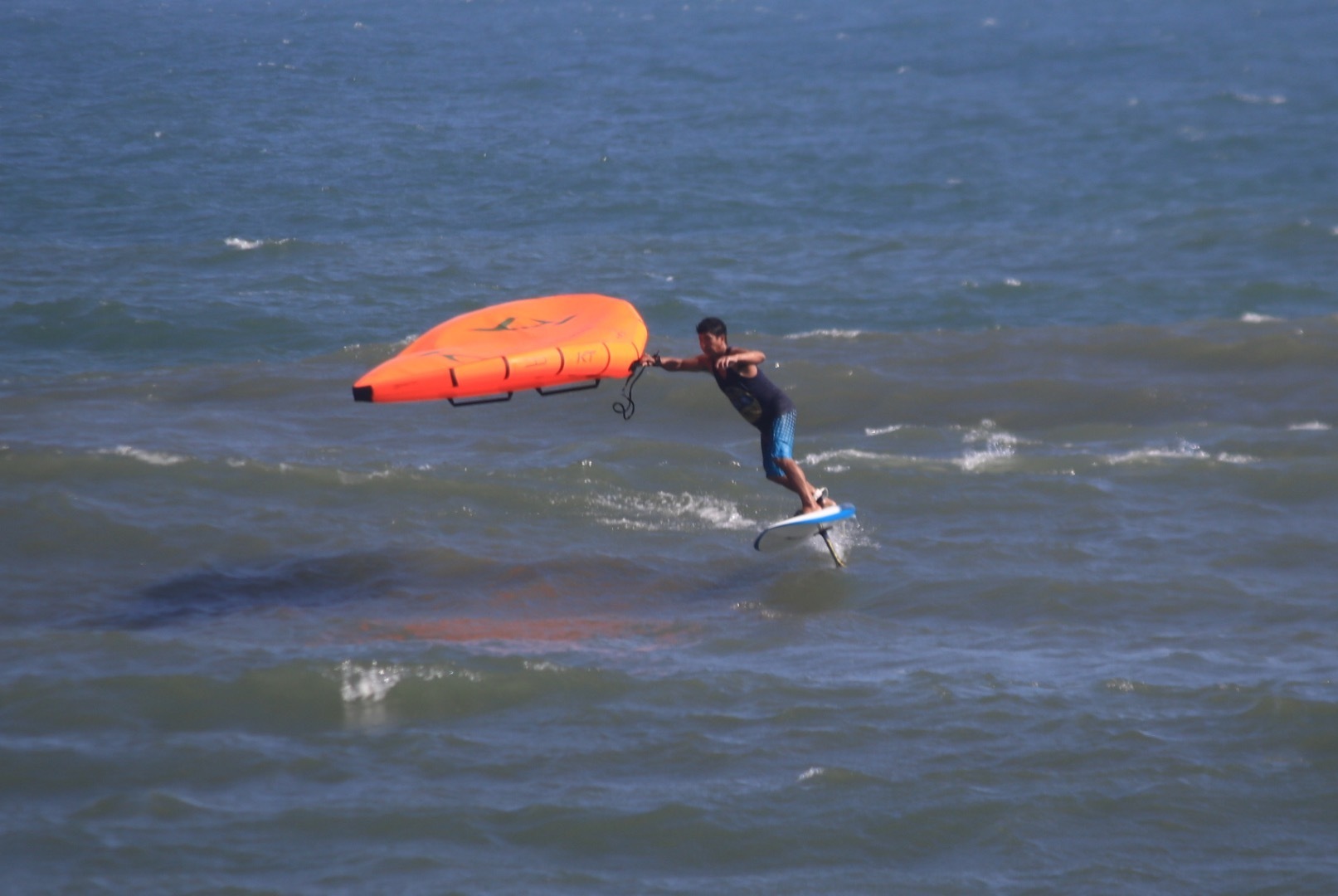 7/22 T その2: 海大好き
