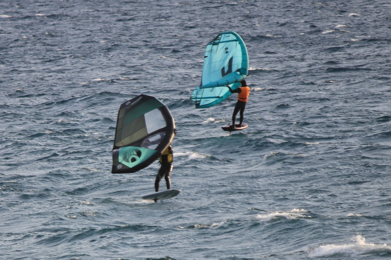 1/28 BG: 海大好き