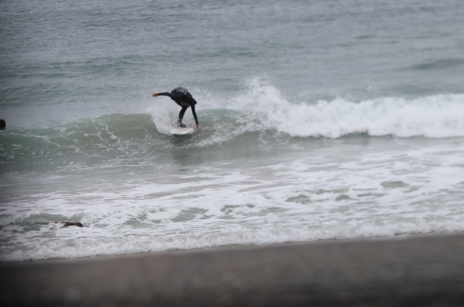 2/25 船P: 海大好き