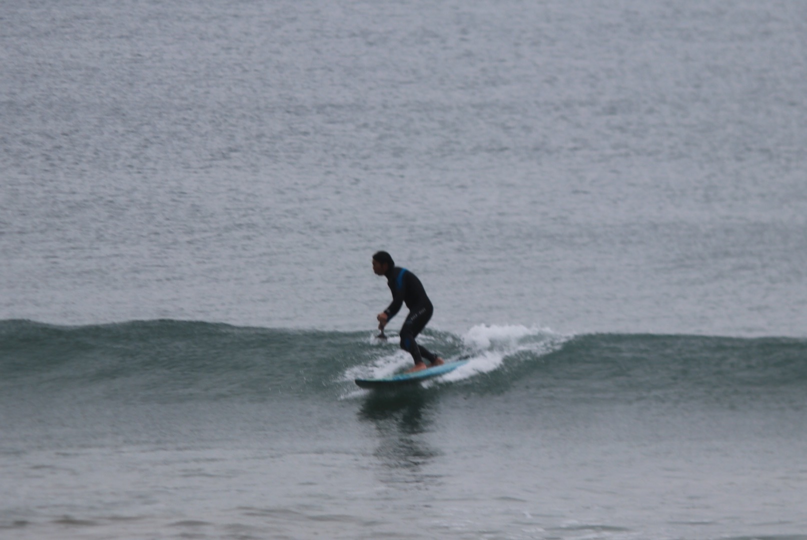 2/25 船P: 海大好き