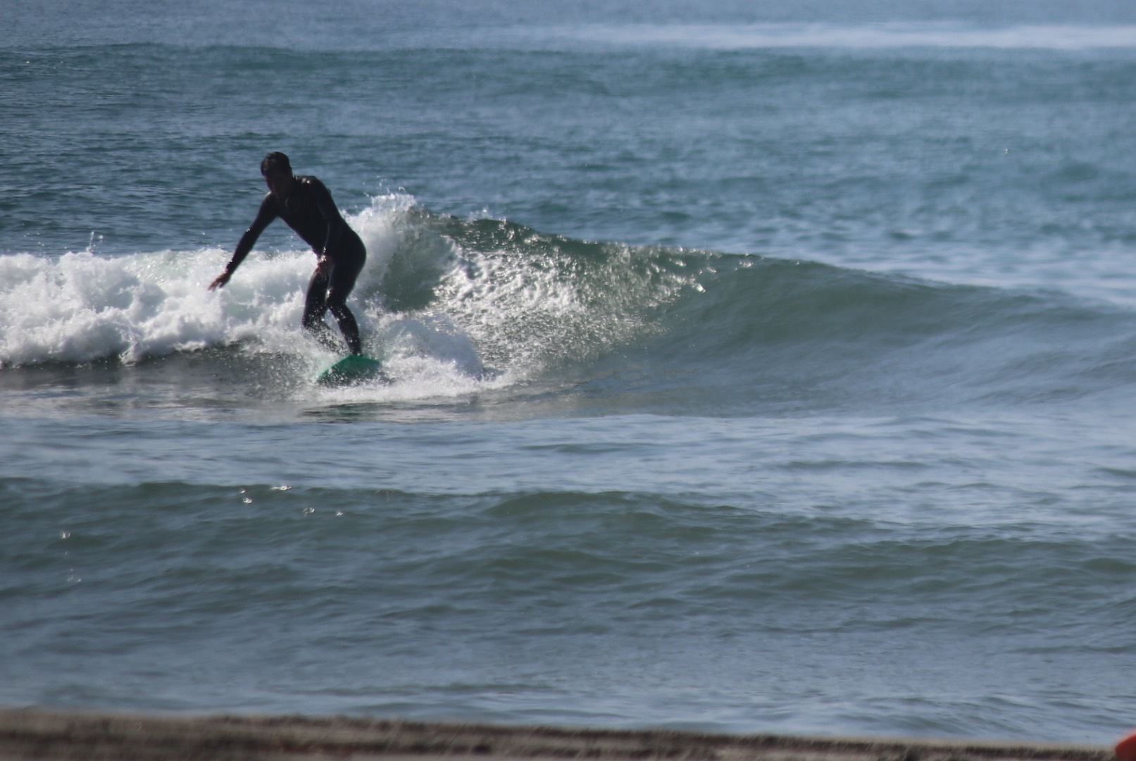 4/28 BGからシャンティ: 海大好き