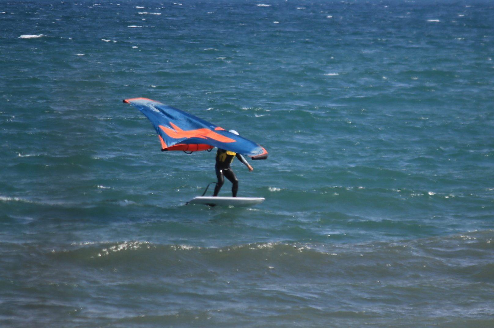 5/3 BG 波乗り 静波 ウィング: 海大好き